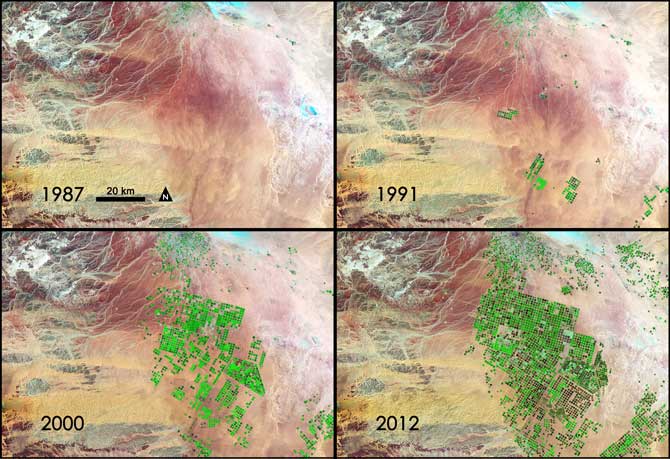 Greening of Saudi Arabia: NASA Photos Show Kingdom Tapping non ...